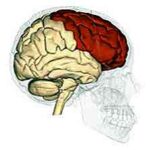 INSULA - EurekAcademy